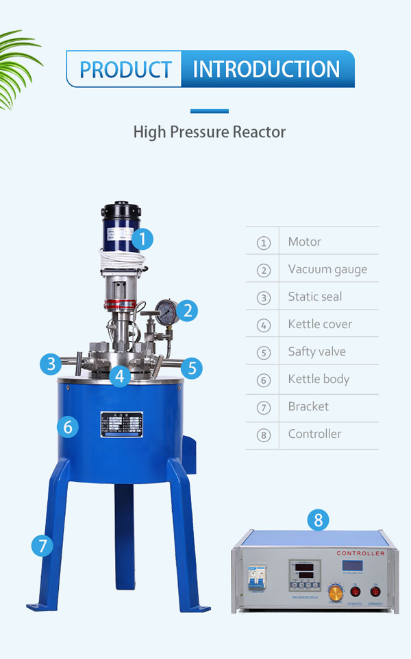 High Pressure Stirred Reactor - FBL