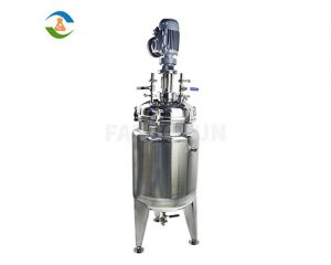 Stainless Steel Chemical Reactor - FBL